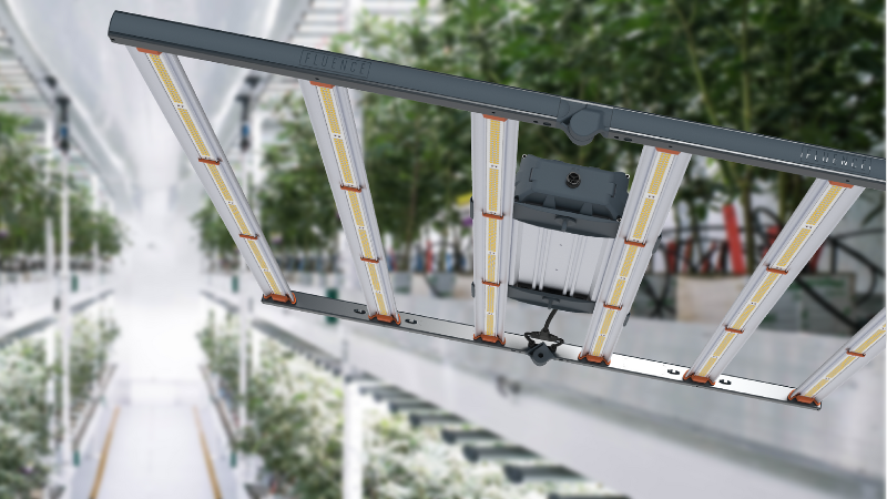 The Fluence SPYDR 2 Series: Lighting the Way for Legacy Cultivation Sy ...